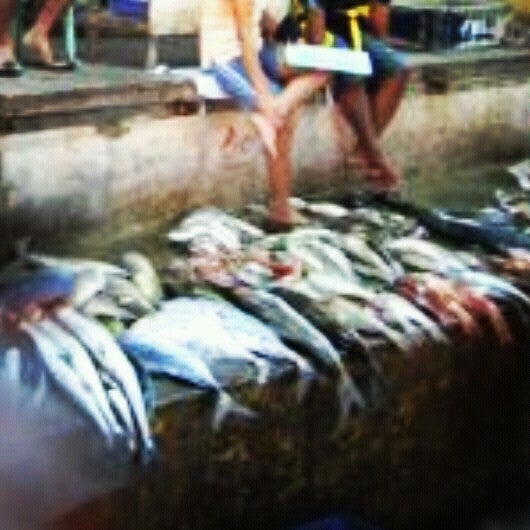 Navotas Fishport Complex - 88 visitors