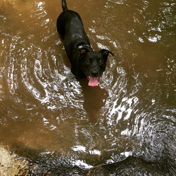 Photos at Jaycee Park & Community Center - Park