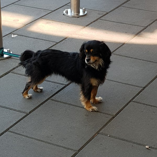 West End Plaza - Shopping Mall in Albury