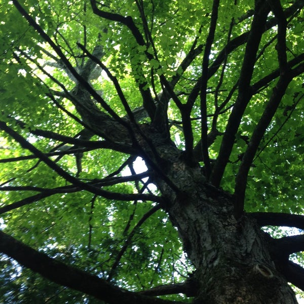 Monteagle Sunday School Assembly - Monteagle, TN