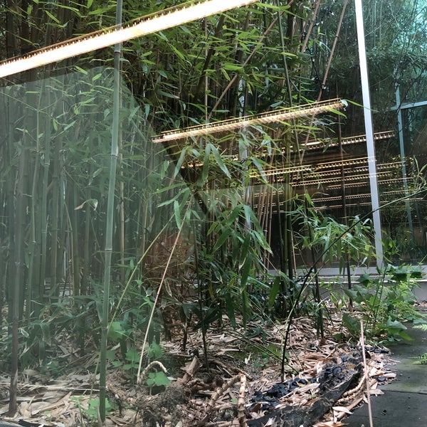 Langara College Library - College Library in Vancouver