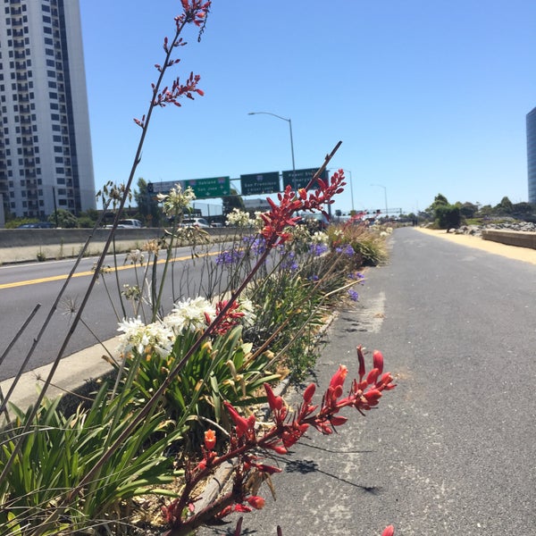 Bay Trail - West Berkeley - Frontage Rd.