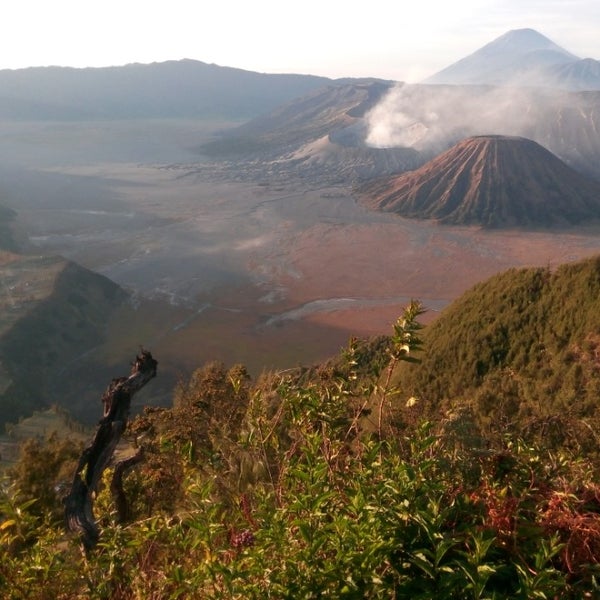 Bromo Sunrise View Point - 37 tips from 3533 visitors