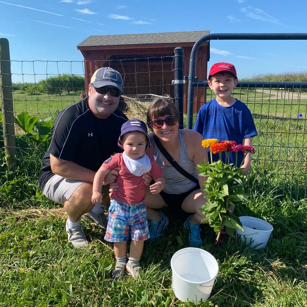 Homestead Farm - Farm