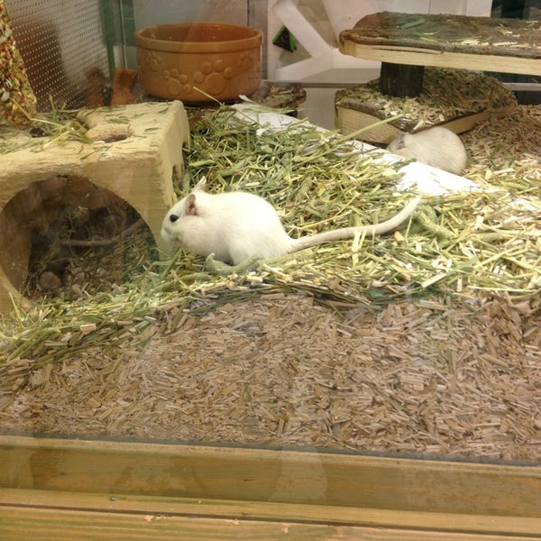 Faunatar - Kauppakeskus Entresse