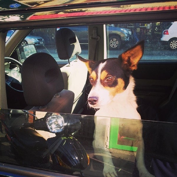 Big Lou's Donuts (Now Closed) - Fitzroy, VIC