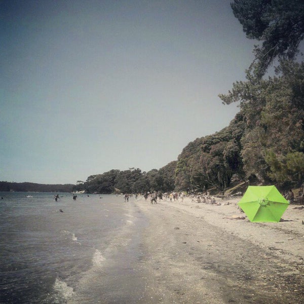 Pt Chevalier Beach - Beach in Point Chevalier