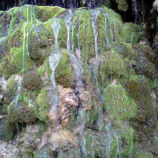 Crockett Gardens And Falls Address | Fasci Garden