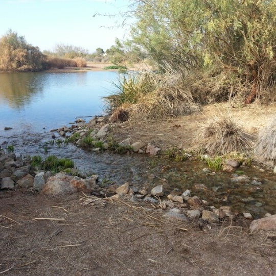 Photos at Gilbert Riparian Preserve at Water Ranch - Gilbert, AZ