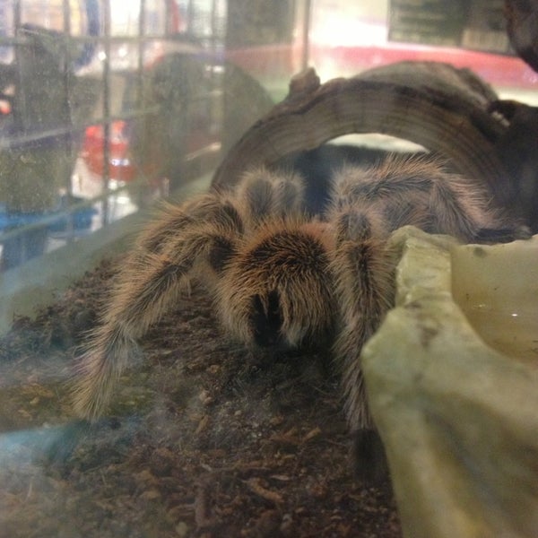 Faunatar - Pet Supplies Store in Itäkeskus