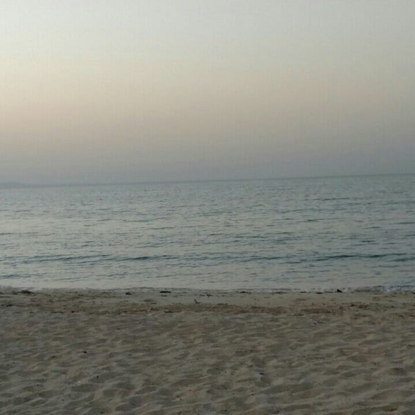 ADNOC Beach Club - 1 tip from 71 visitors