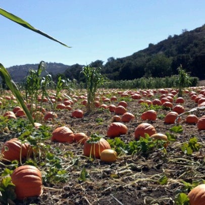 Bates Nut Farm - 20 tips from 1883 visitors
