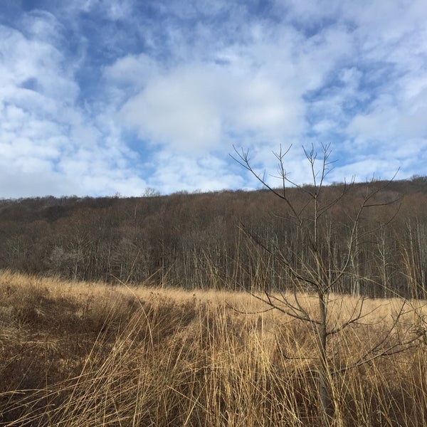 Hialeah Trailhead - Trail