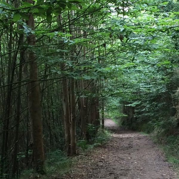 Monte Xalo - Mountain in Culleredo