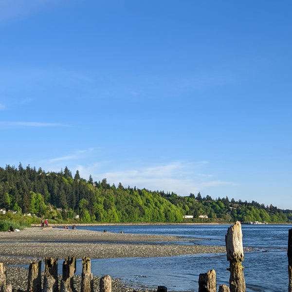 Picnic Point Park - Beach