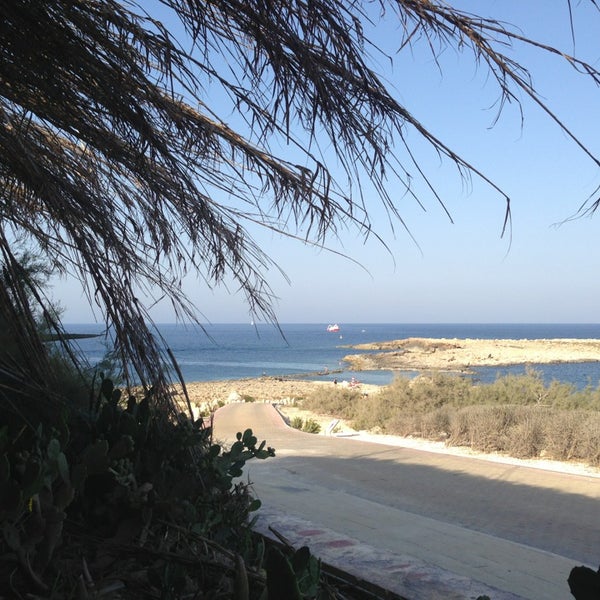 Ta'Fra Ben Reggae Bar - Triq it-Trunċiera