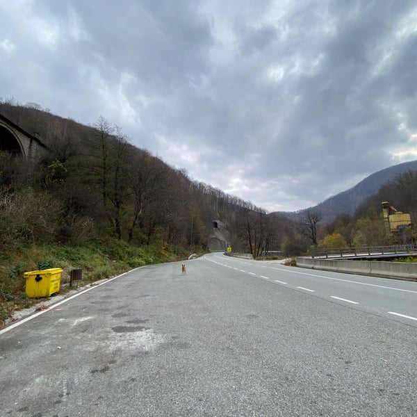 Defileul Jiului - 1 tip