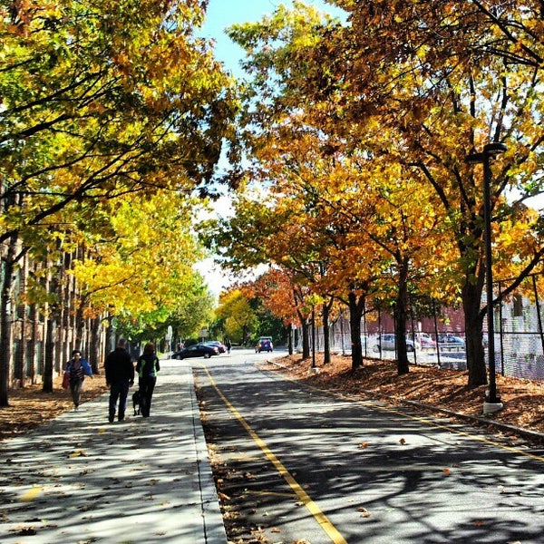 Photos at MBTA Davis Square Station - Davis Square - College Ave. & Elm St.