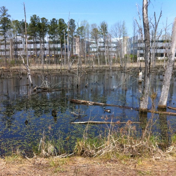 Photos at NetApp RTP - 1 tip from 380 visitors