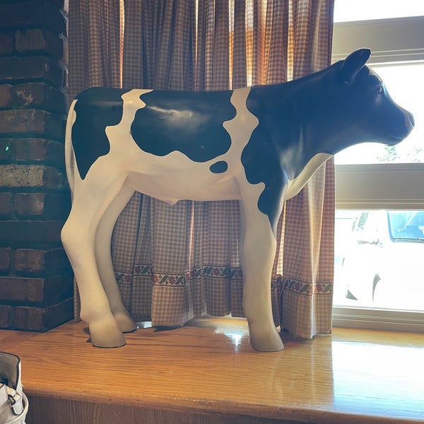 The Good Steer - American Restaurant