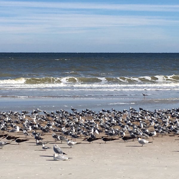Photos at Peter's Point Beachfront Park - 11 tips