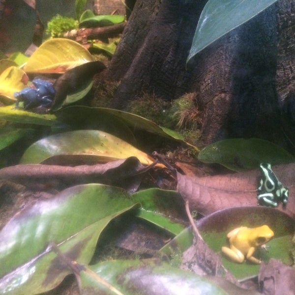 Photos at Tropical Rainforest Exhibit - Zoo Exhibit in Seattle