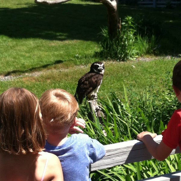Raptor Center - Zoo Exhibit in Phinney Ridge