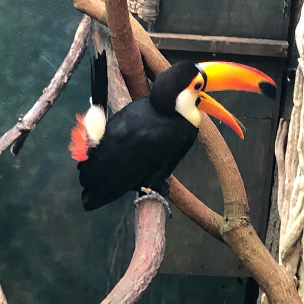 Photos at Tropical Rainforest Exhibit - Zoo Exhibit in Seattle