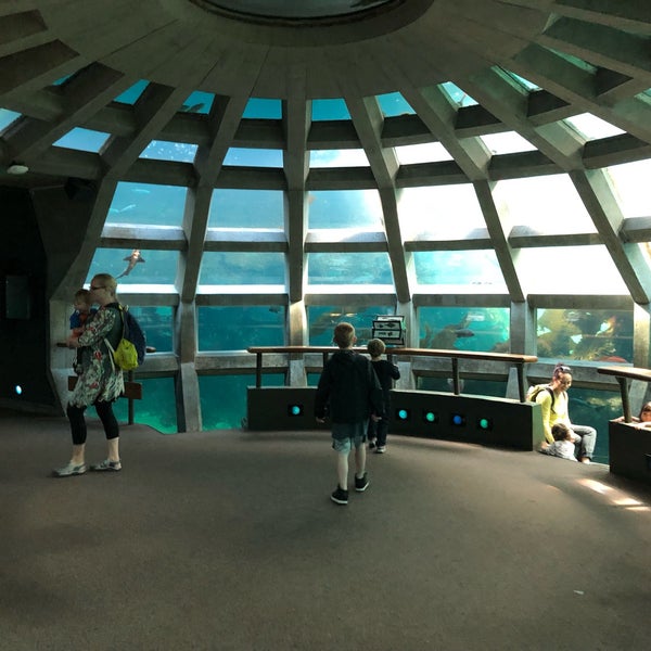 Seattle Underwater Wistrom