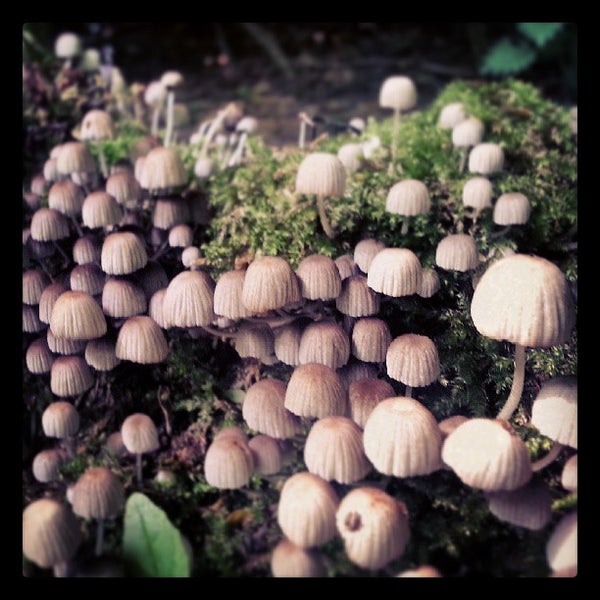 Barclays Babbage House - Babbage House