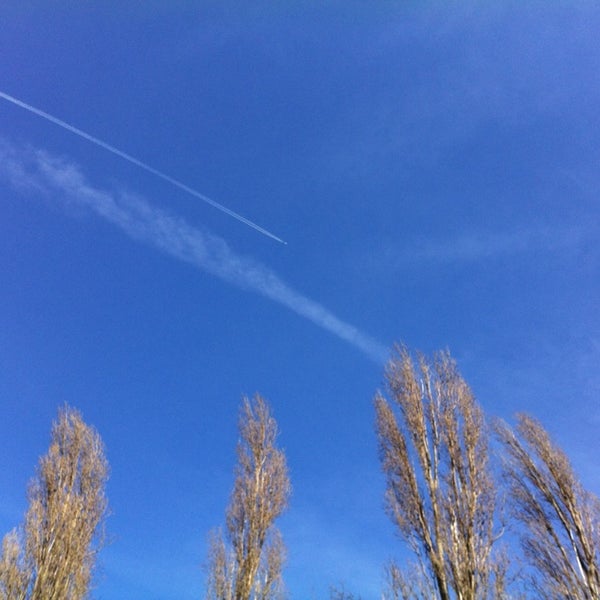 Forster Memorial Park - 5 tips