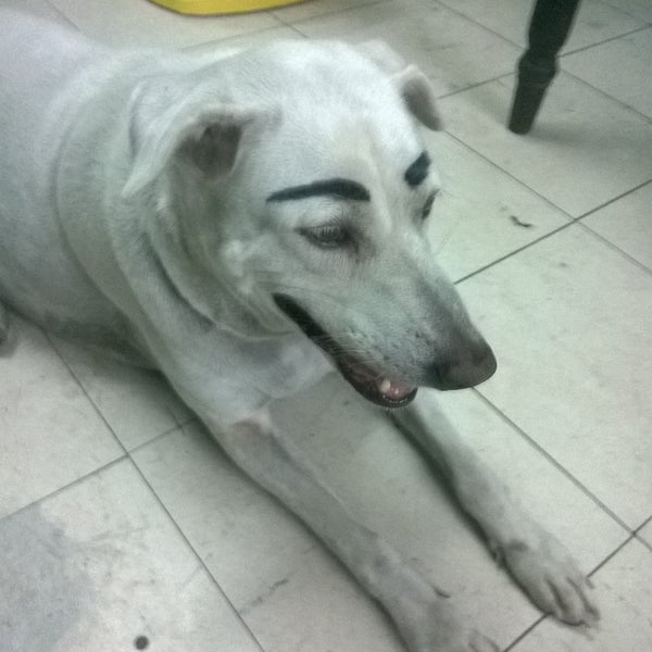 หมู-เนื้อย่าง เจงกิสข่าน คุณยายบุญธรรม สาขา 2 - Popular 4 Rd