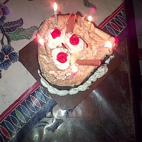 Conato Bakery - Bakery