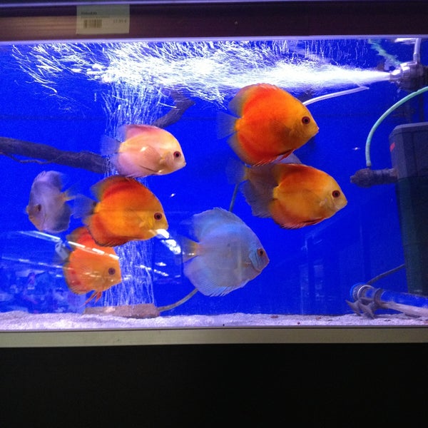 Faunatar - Pet Supplies Store in Itäkeskus