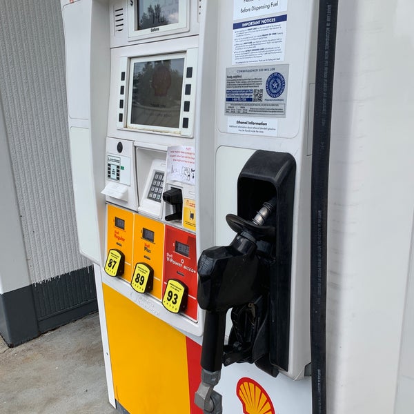 Shell - Research Forest - 1 tip