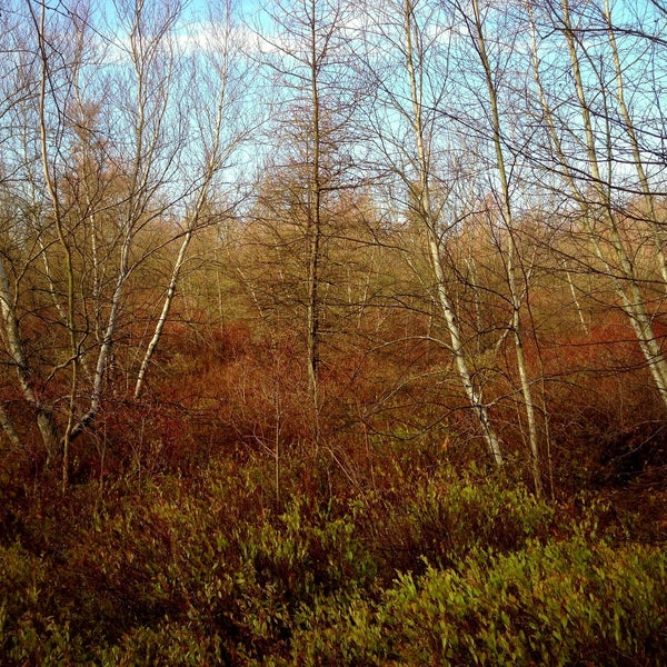 Kent Bog State Nature Preserve - Nature Preserve in Kent