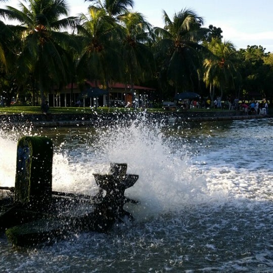 Pasir Ris Town Park Fishing Pond - Pasir Ris - 21 tips from 2605 visitors