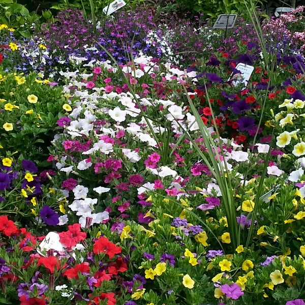 Wendy's Flowers - 1116 E Philadelphia Ave