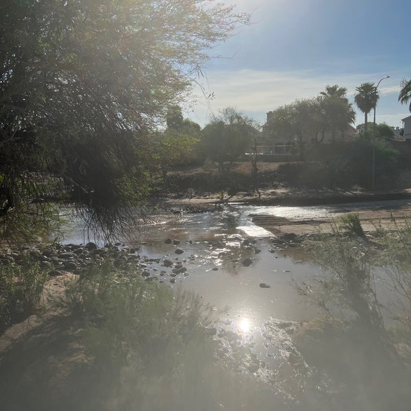Grasshopper Pedestrian Bridge - Bridge in North Mountain