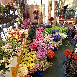 Flower Gallery of Asheville, Inc. - 1 visitor