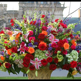 Flower Gallery of Asheville, Inc. - 1 visitor