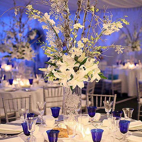 Flower Gallery of Asheville, Inc. - 1 visitor