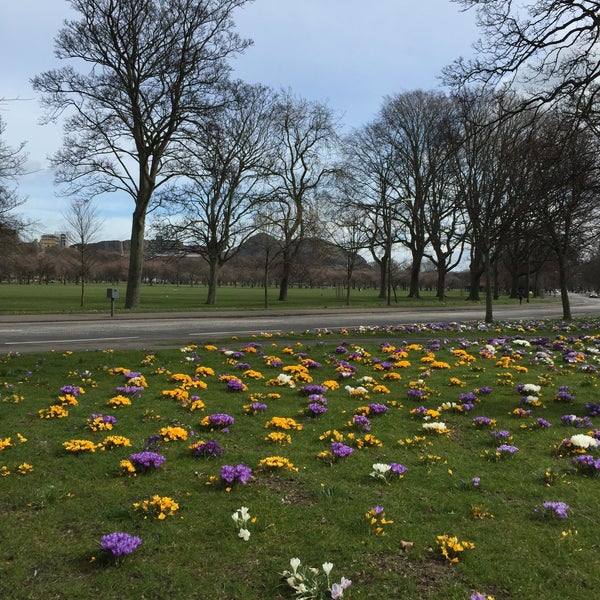 The Meadows - Park in Edinburgh