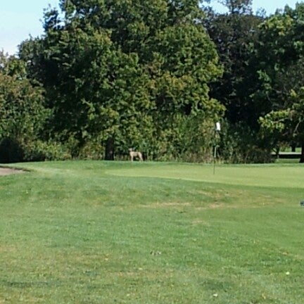 Photos at Jackson Park Golf Course - Golf Course