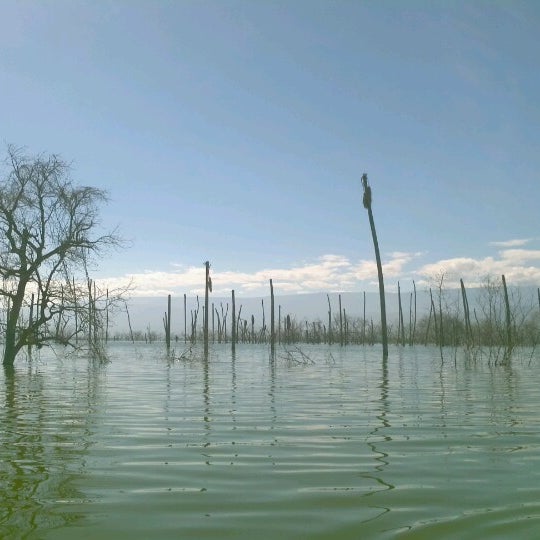 Lago Enriquillo - Lake
