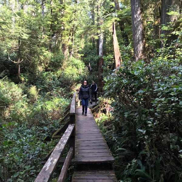 Rainforest Trail - Trail