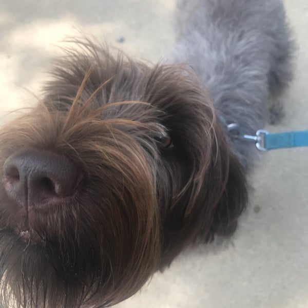 Starbucks (Now Closed) - Lakeview - 17 tips from 1056 visitors