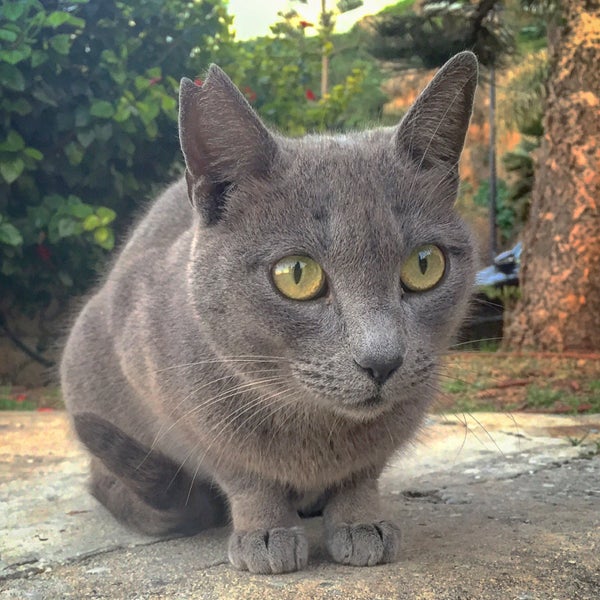 El Gato Gay Beach - Paseo Maritimo