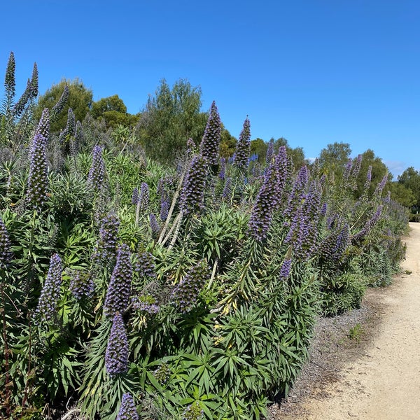 Shady Canyon Golf Club - Golf Course in Shady Canyon