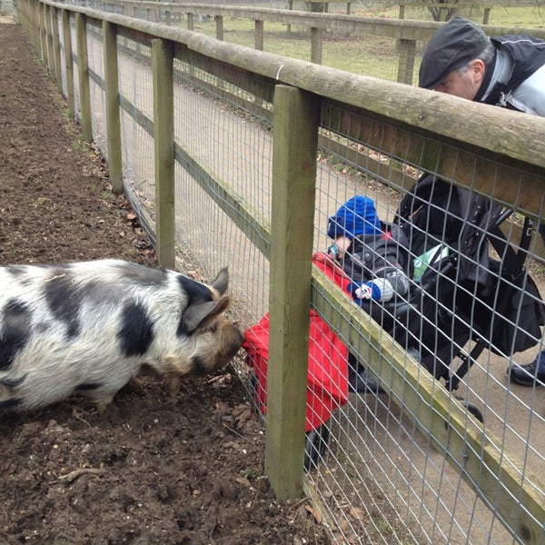 Photos at Beale Wildlife Park - Zoo in Lower Basildon